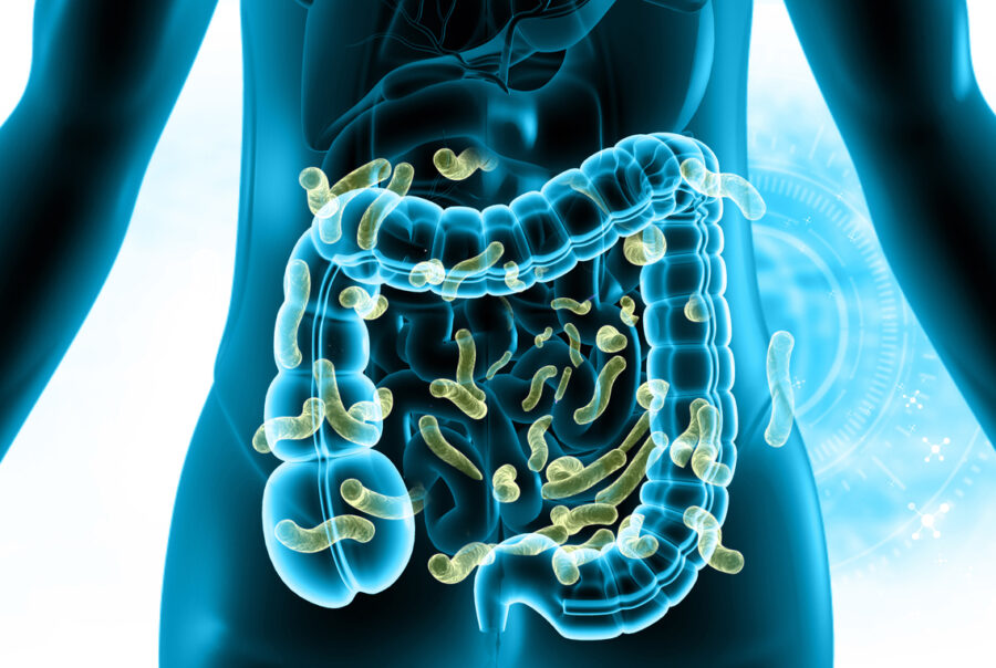 10 Warning Signs of Parasitic Infections You Should Never Ignore ...